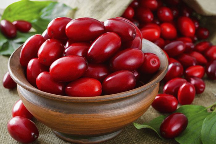 Drenjine - voće neodoljivog ukusa i ljekovitih plodova | Trebinje Live